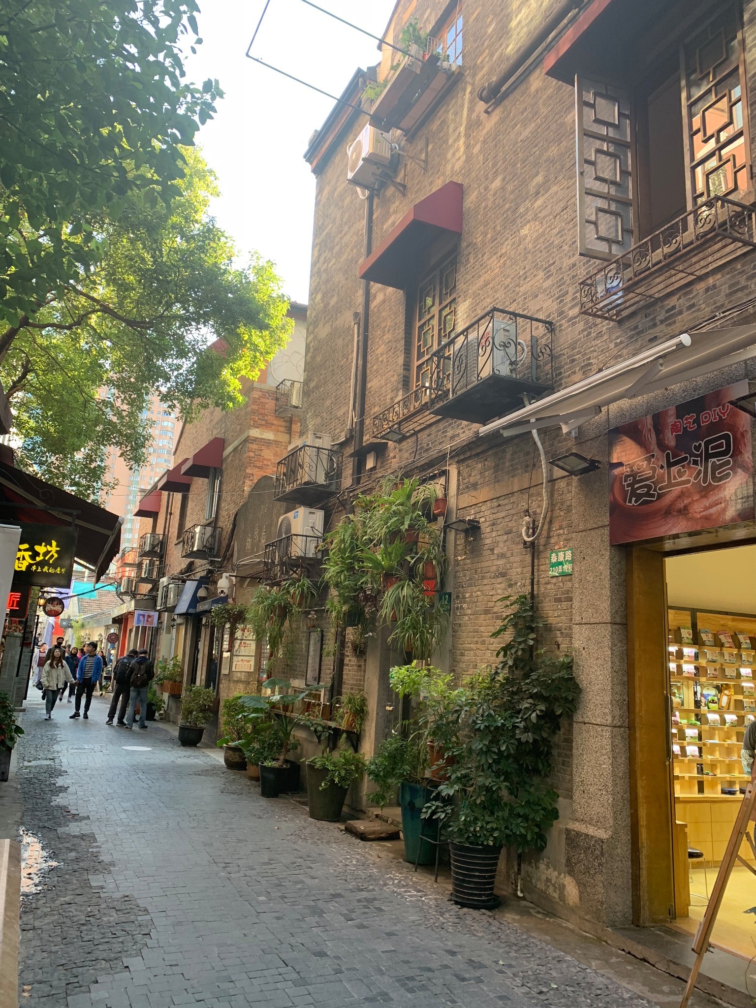 ShangHai TianZiFang - China ChengDu Tours, Chengdu Panda Volunteer Program